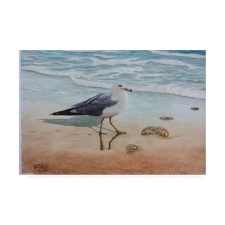 Patrick Sullivan '1 Seagull' Canvas Art - Bed Bath & Beyond - 26274466