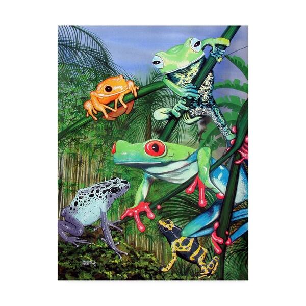 Patrick Sullivan 'Tree Frogs' Canvas Art - Bed Bath & Beyond - 26274959