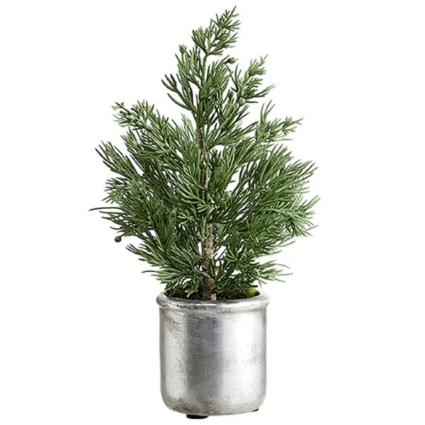 10'' Juniper Tree in Silver Planter - Bed Bath & Beyond - 26956176
