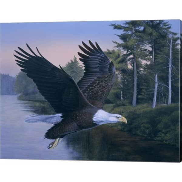 Rusty Frentner 'Eagle Soaring' Canvas Art - Bed Bath & Beyond - 26981589