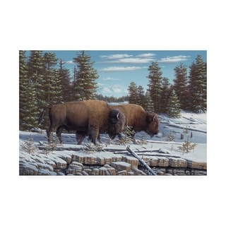 R W Hedge 'The Journey Buffalo' Canvas Art - Bed Bath & Beyond - 27190992