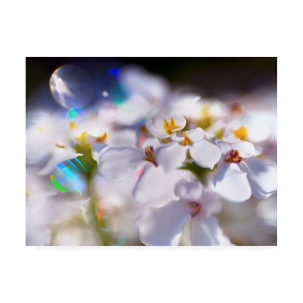 Gillian Hunt 'Jewels of the Enchanted Forest I' Canvas Art - Bed Bath ...