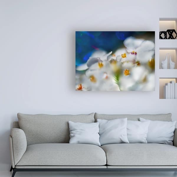 Gillian Hunt 'Jewels of the Enchanted Forest V' Canvas Art - Bed Bath ...