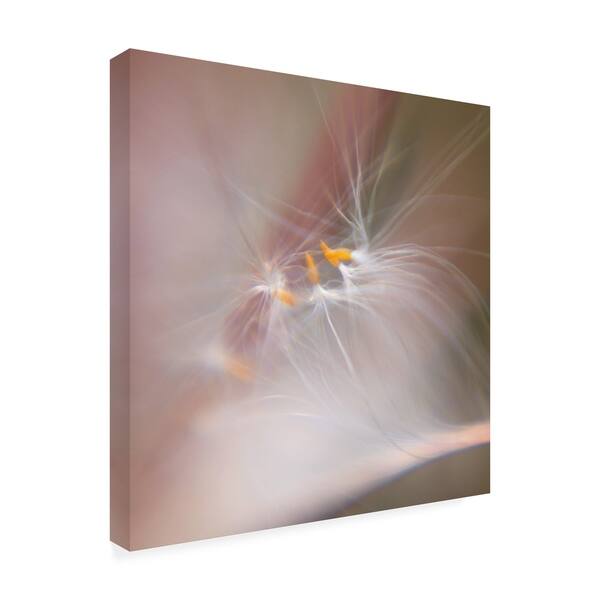 Gillian Hunt 'Fairy Dance V' Canvas Art - Bed Bath & Beyond - 27191910