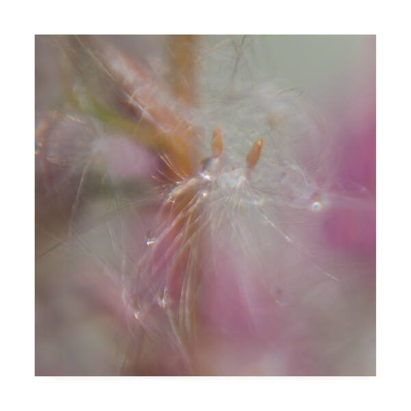 Gillian Hunt 'Fairy Dance II' Canvas Art - Bed Bath & Beyond - 27191927