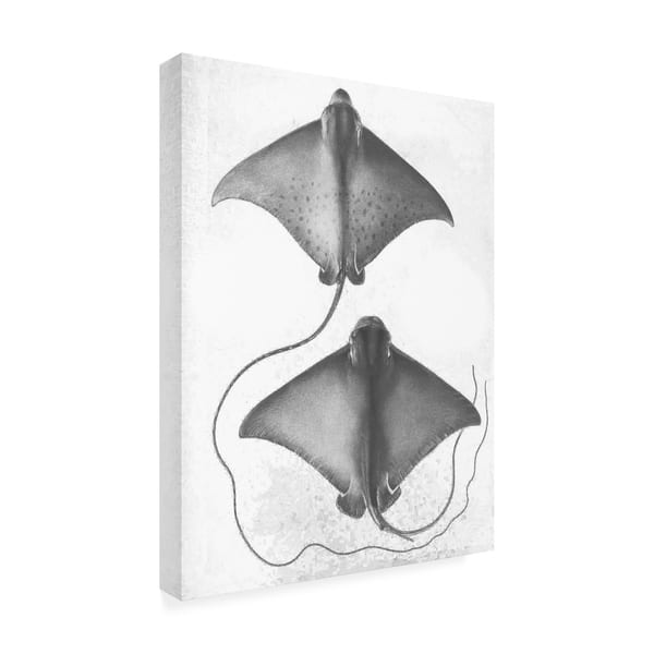 Studio W 'Grey-Scale Stingrays I' Canvas Art - Bed Bath & Beyond - 27192103