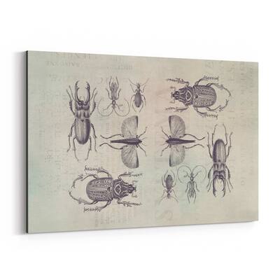 Noir Gallery Vintage Retro Bugs Illustration Canvas Wall Art Print ...