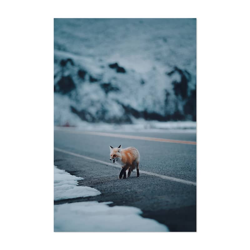 Noir Gallery Sawtooth Mountains Idaho Fox Unframed Art Print/Poster ...