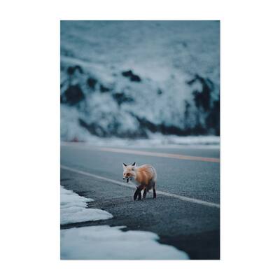 Noir Gallery Sawtooth Mountains Idaho Fox Unframed Art Print/Poster ...