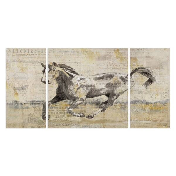 Golden Stallion II-A Premium Multi Piece Art available in 3 sizes - Bed ...