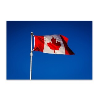 Noir Gallery Toronto The Canadian Flag Metal Wall Art Print - Bed Bath ...