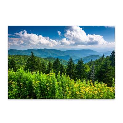Noir Gallery Blue Ridge Parkway Mountains Metal Wall Art Print ...