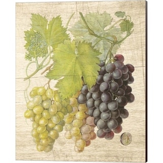 Nobleworks Inc. 'Grapevine I' Canvas Art - Bed Bath & Beyond - 27586041