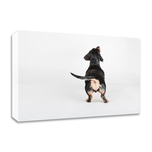 The Butt by Susan Sabo, Print on Canvas, Ready to Hang - Bed Bath ...