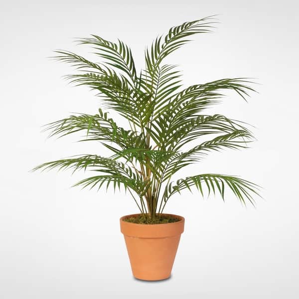 Real Touch Artificial Areca Palm Plant in a Small Clay Pot - Bed Bath ...