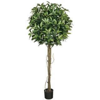 Sullivans Potted 5' Shikiba Tree - Bed Bath & Beyond - 27966142