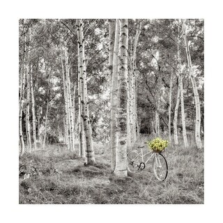 Alan Blaustei 'Sunflower Bicycle Ride' Canvas Art - Bed Bath & Beyond ...