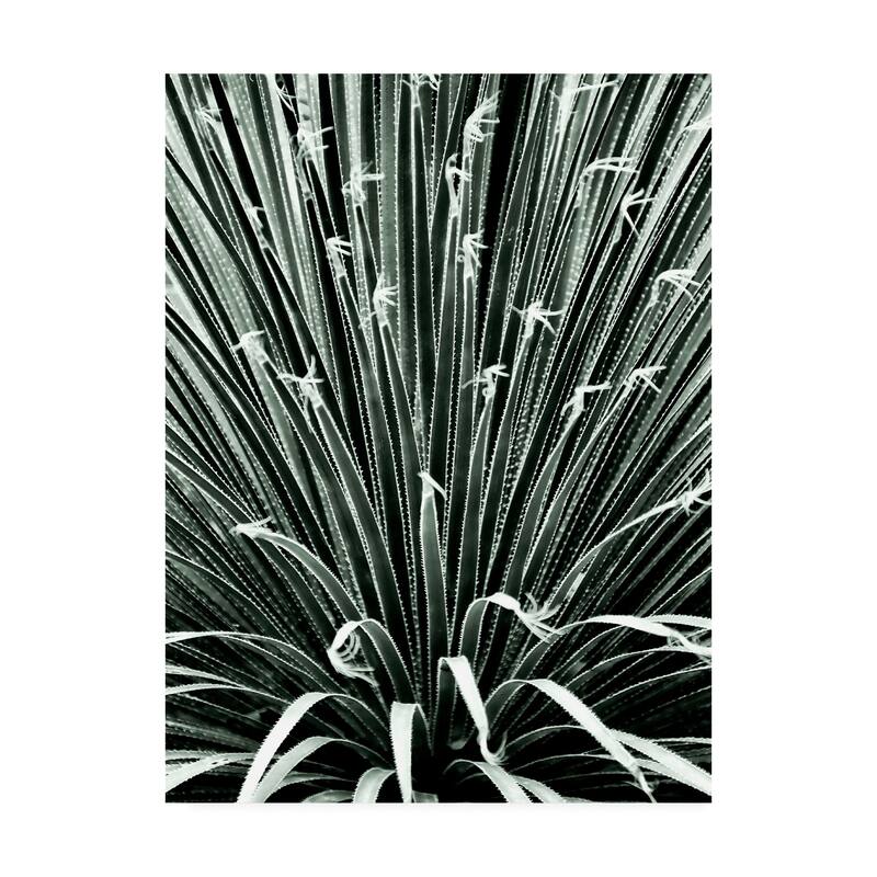 Incado 'Leaf V' Canvas Art - Overstock - 28031079