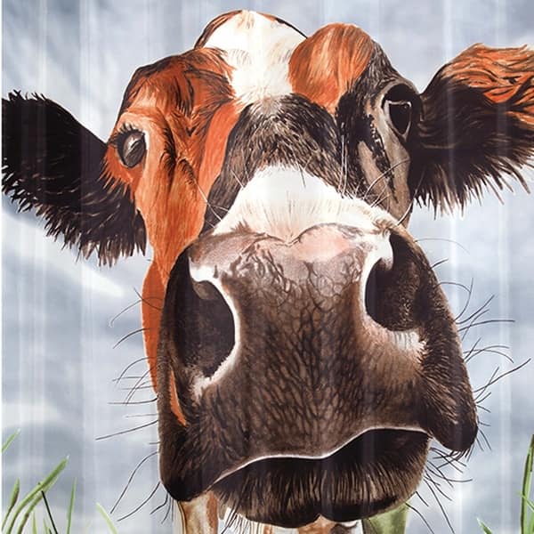 Maybelle Shower Curtain - On Sale - Bed Bath & Beyond - 28135793