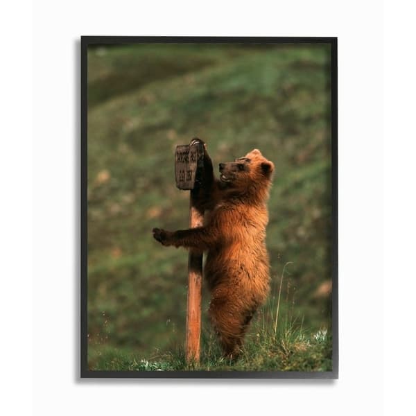 Stupell Grizzly Bear Cub Scratching Park Sign, 11 x 14, Proudly Made in ...