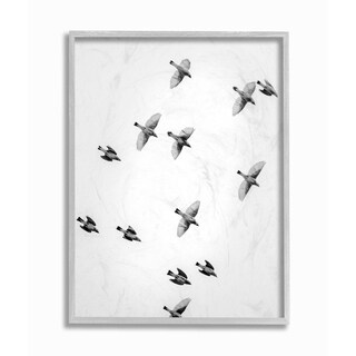 Stupell Birds in Flight Black and White Photography, 11 x 14, Design By Artist Design Fabrikken ...