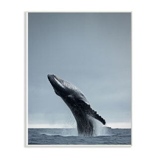 Stupell Whale Breaching the Ocean Waters Photography, 10 x 15, Proudly ...