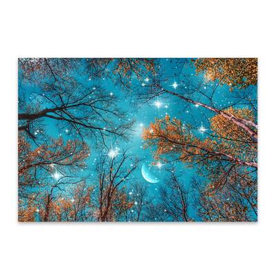 Noir Gallery Nature Starry Night Woodland Metal Wall Art Print ...