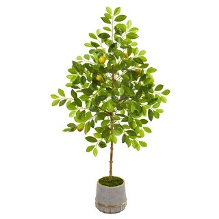 52" Lemon Artificial Tree in Stoneware Vase with Gold Trimming - Bed ...