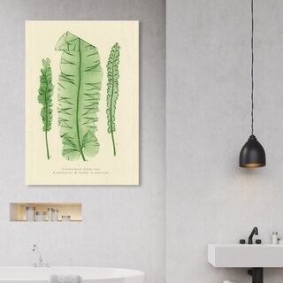 Oliver Gal 'Ferns' Floral and Botanical Wall Art Canvas Print - Green ...