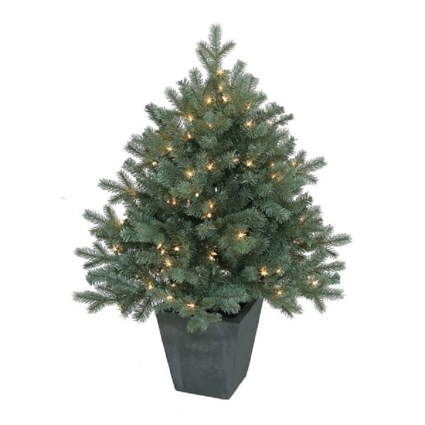 Regency Potted Artificial Prelit Blue Spruce Tree 36" - Bed Bath ...