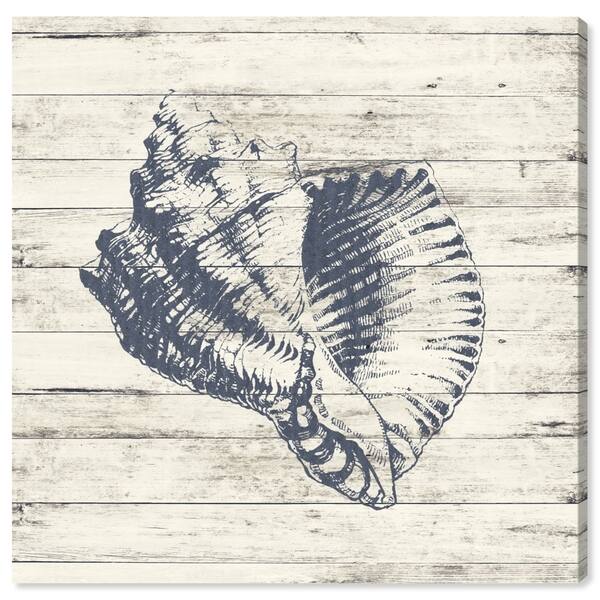 Oliver Gal 'Sea Shell Blue' Nautical and Coastal Wall Art Canvas Print ...