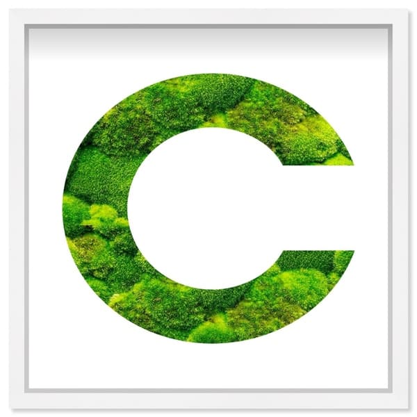 Oliver Gal' The Letter C Nature' Alphabet Letters Live Moss Art - Bed ...