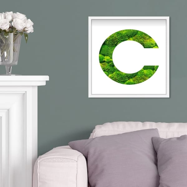 Oliver Gal' The Letter C Nature' Alphabet Letters Live Moss Art - Bed ...
