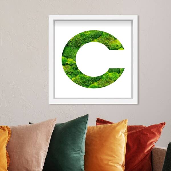 Oliver Gal' The Letter C Nature' Alphabet Letters Live Moss Art - Bed ...