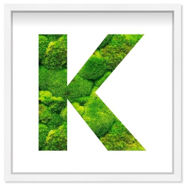 Oliver Gal' The Letter K Nature' Alphabet Letters Live Moss Art - Bed ...