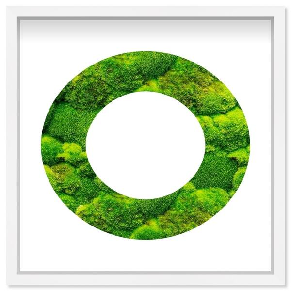 Oliver Gal' The Letter O Nature' Alphabet Letters Live Moss Art - Bed ...