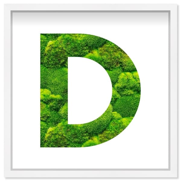 Oliver Gal' The Letter D Nature' Alphabet Letters Live Moss Art - Bed ...