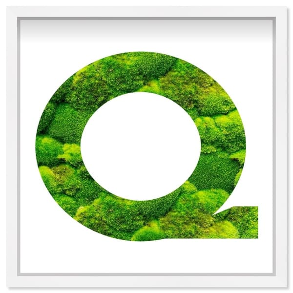 Oliver Gal' The Letter Q Nature' Alphabet Letters Live Moss Art - Bed ...