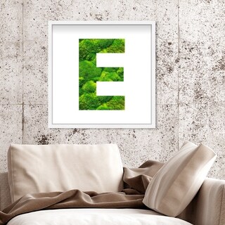 Oliver Gal' The Letter E Nature' Alphabet Letters Live Moss Art - Bed Bath & Beyond - 29006729