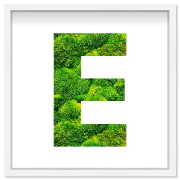 Oliver Gal' The Letter E Nature' Alphabet Letters Live Moss Art - Bed Bath & Beyond - 29006729