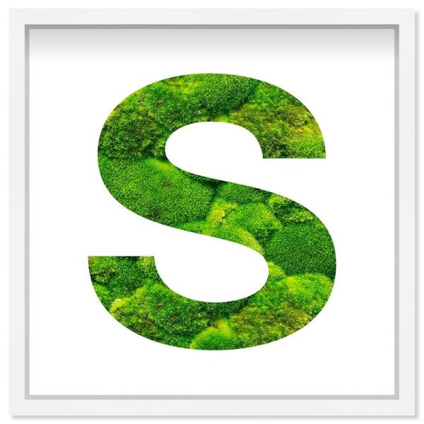 Oliver Gal' The Letter S Nature' Alphabet Letters Live Moss Art - Bed ...