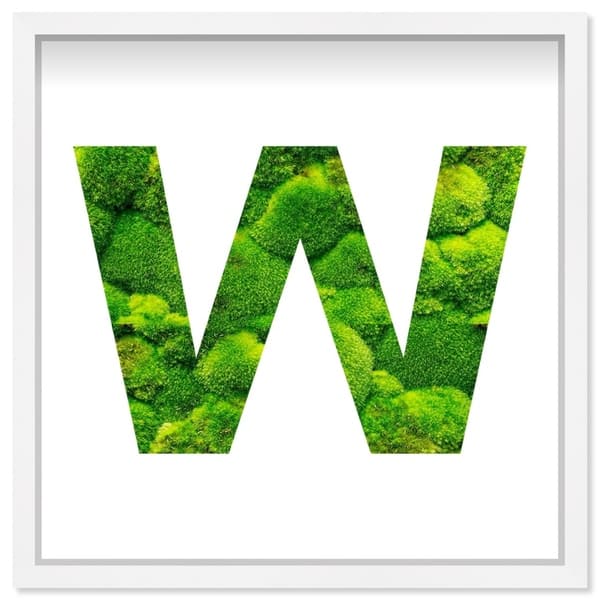 Oliver Gal' The Letter W Nature' Alphabet Letters Live Moss Art - Bed ...