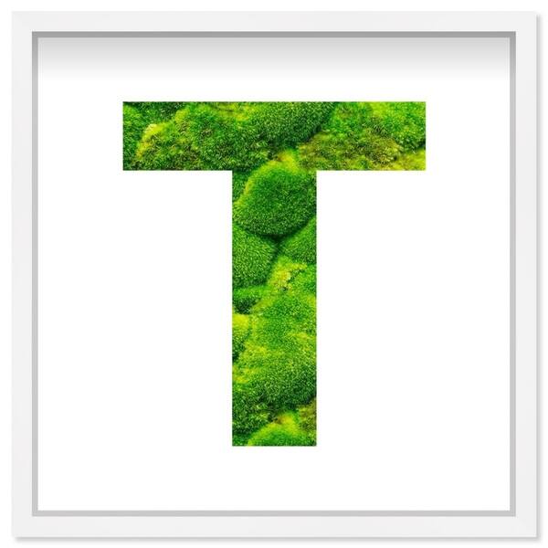 Oliver Gal' The Letter T Nature' Alphabet Letters Live Moss Art - Bed ...