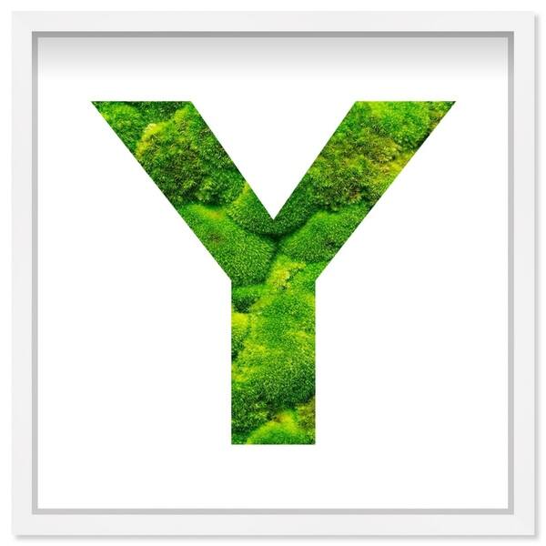 Oliver Gal' The Letter Y Nature' Alphabet Letters Live Moss Art - Bed ...
