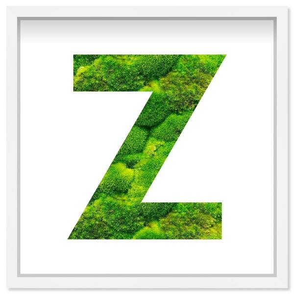Oliver Gal' The Letter Z Nature' Alphabet Letters Live Moss Art - Bed ...