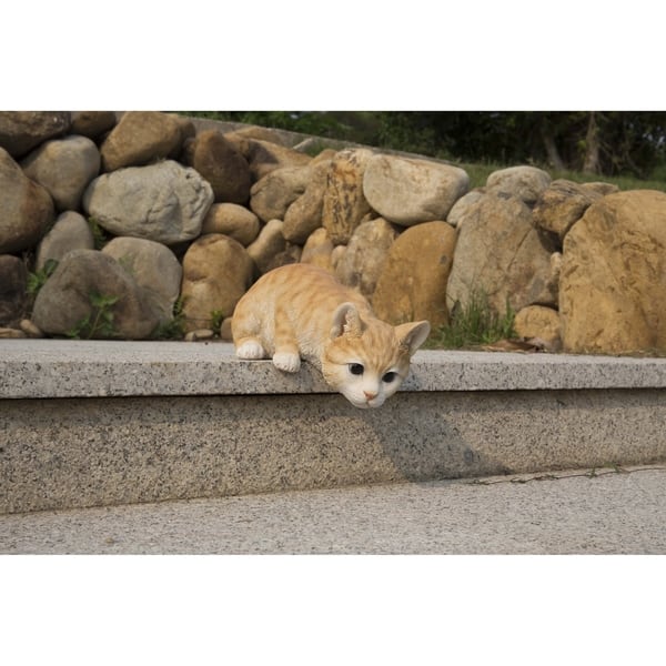 Cat Looking Over Ledge - Orange Tabby - Bed Bath & Beyond - 29045704