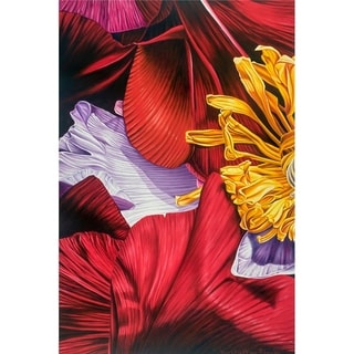 CANVAS Inferno Flower Petal Abstract by Karl Black Graphic Art - Multi ...