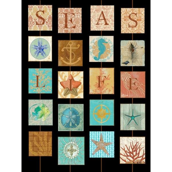 CANVAS Sea Life Collage by Marilu Windvand Graphic Art - Bed Bath ...