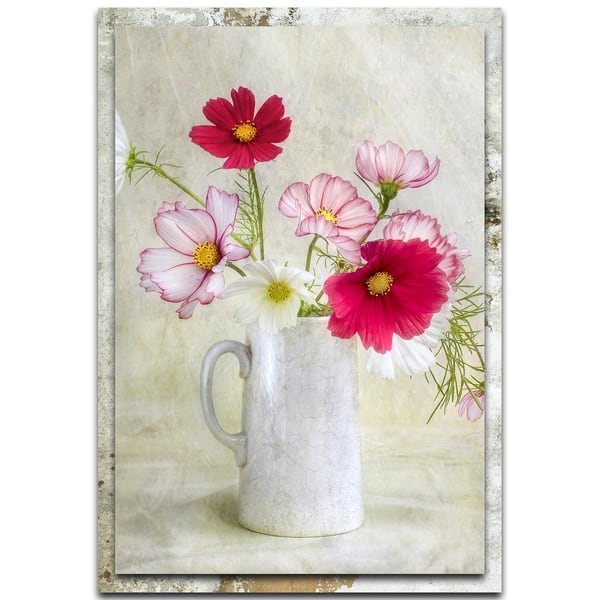 Mandy Disher 'Cosmos Carnival Distressed Frame' 22in x 32in Modern ...