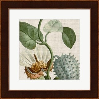 Vision Studio 'Cropped Turpin Tropicals II' Framed Art - Bed Bath ...